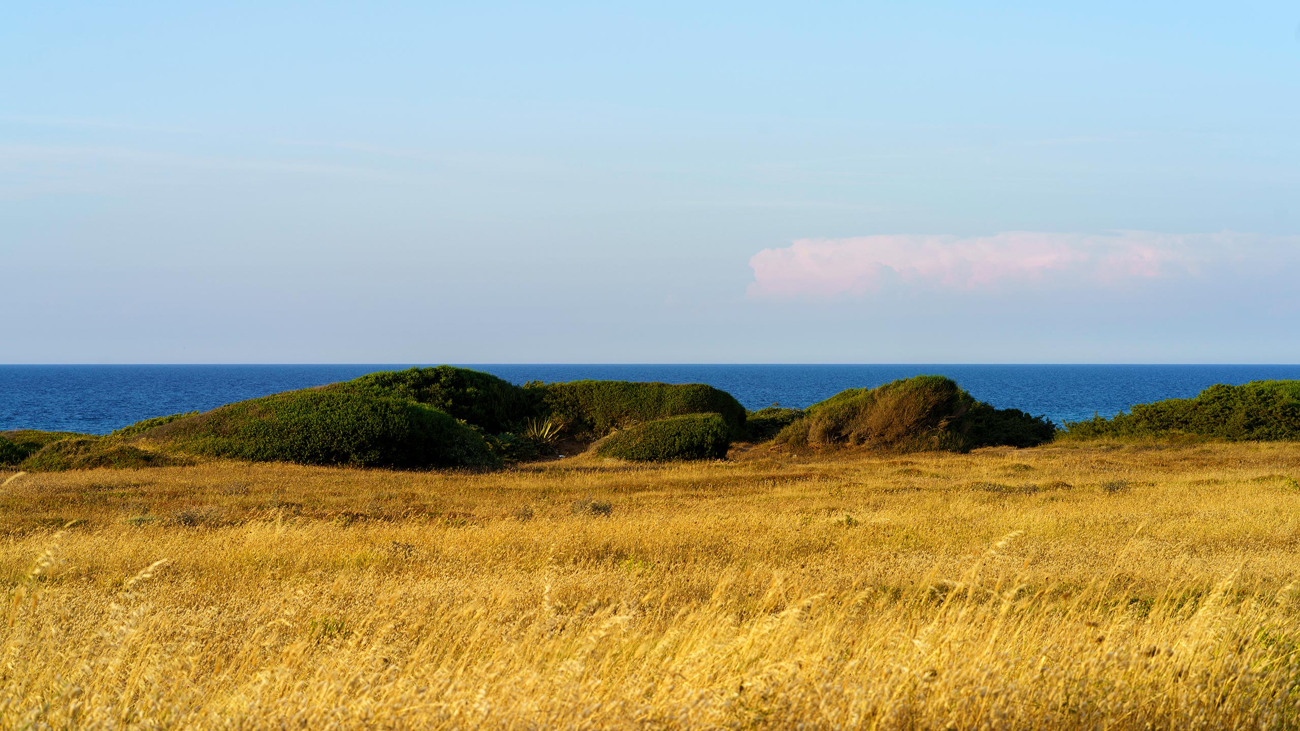 Apulia hospitality